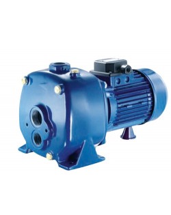 Les Pompes à eau professionnelles KSB GUINARD SALMSON au service du particulier, relevage ...